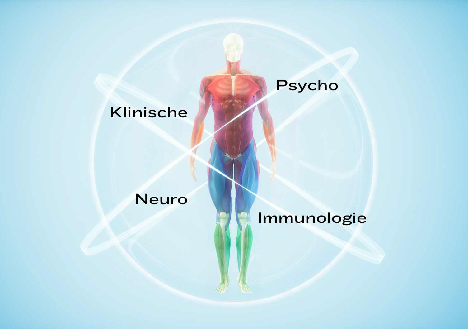 Wat is klinische Psycho-Neuro-Immunologie (kPNI)? - kPNI Geneeskunde
